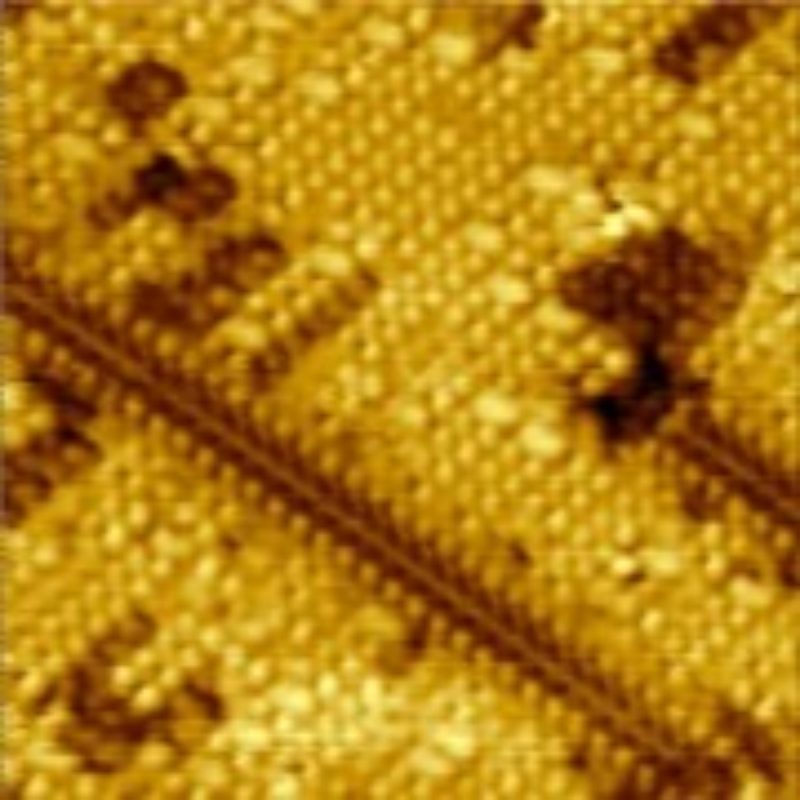 Endotaxial Si nanolines in Si(001):H - Renner Group